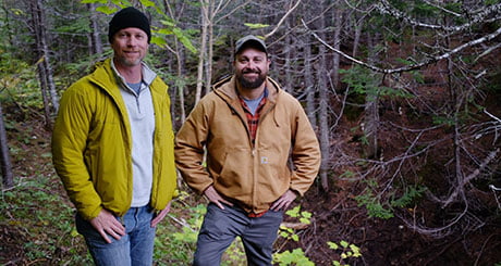 Science follows vikings to North America | News | C21Media