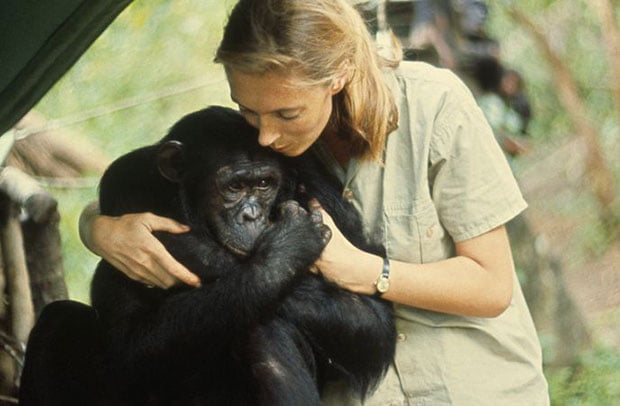Nat Geo unveils Jane Goodall doc | News | C21Media