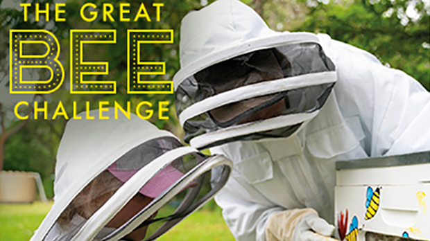 The Great Bee Challenge | The International Format Awards 2020 ...