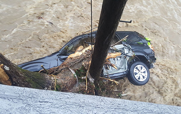 Weather Channel picks BBC Earth original | News | C21Media