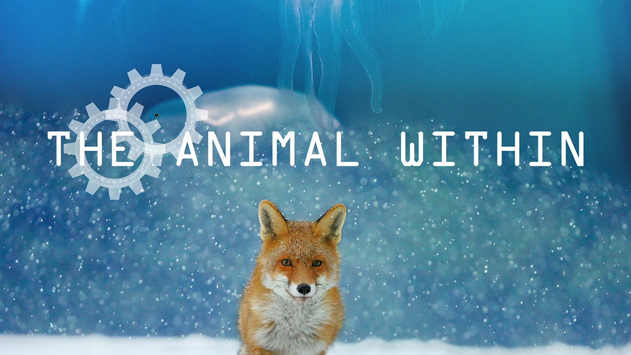 The Animal Within | Autentic Distribution | Screenings | C21Media