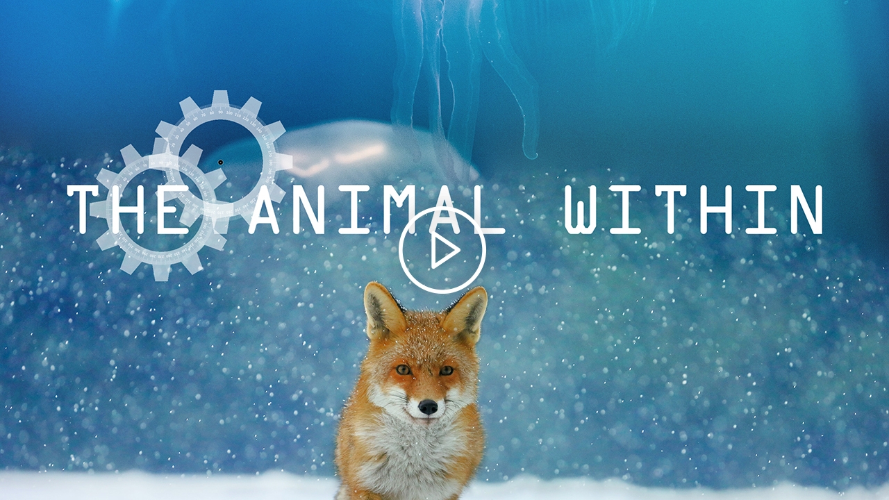The Animal Within | Autentic Distribution | Screenings | C21Media