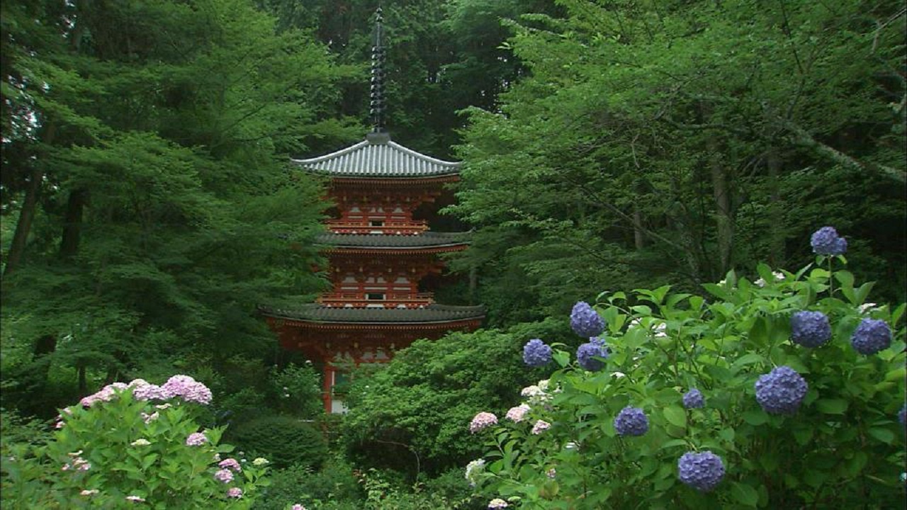 Made in Kyoto | Mainichi Broadcasting System, Inc. | Screenings | C21Media