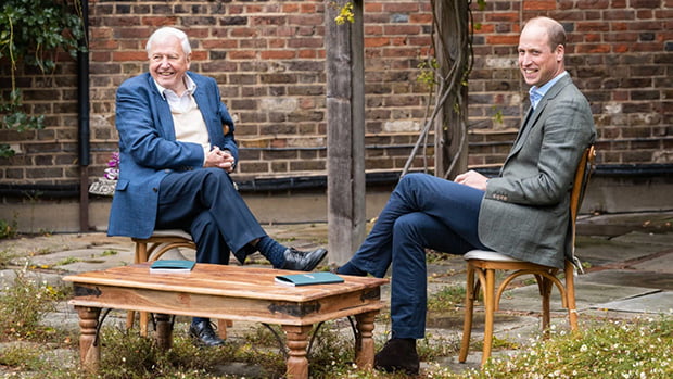 Giving the climate message a Silverback lining | Features | C21Media