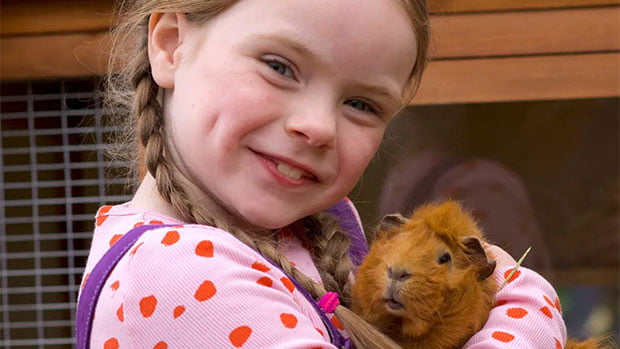 CBeebies orders first TV version of Paddington creator's Olga Da Polga ...