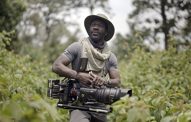 BBC Two has Gorilla Dream with Octopus Teacher prodco | News | C21Media