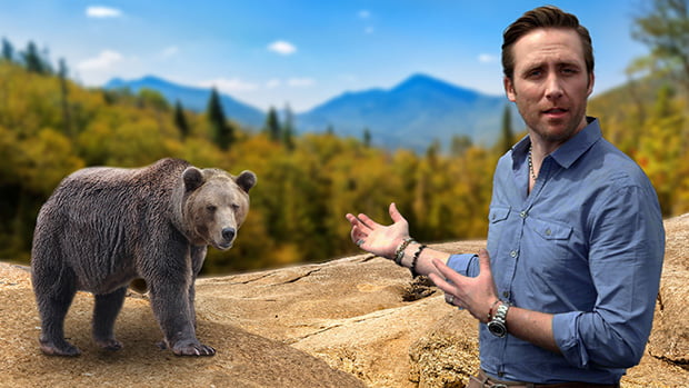 Family edutainment streamer Da Vinci shops at Beyond Rights, Boat ...