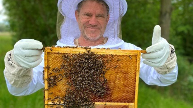 Channel 5 creates a buzz about Honey Bee, GroupM Motion doc The Secret ...
