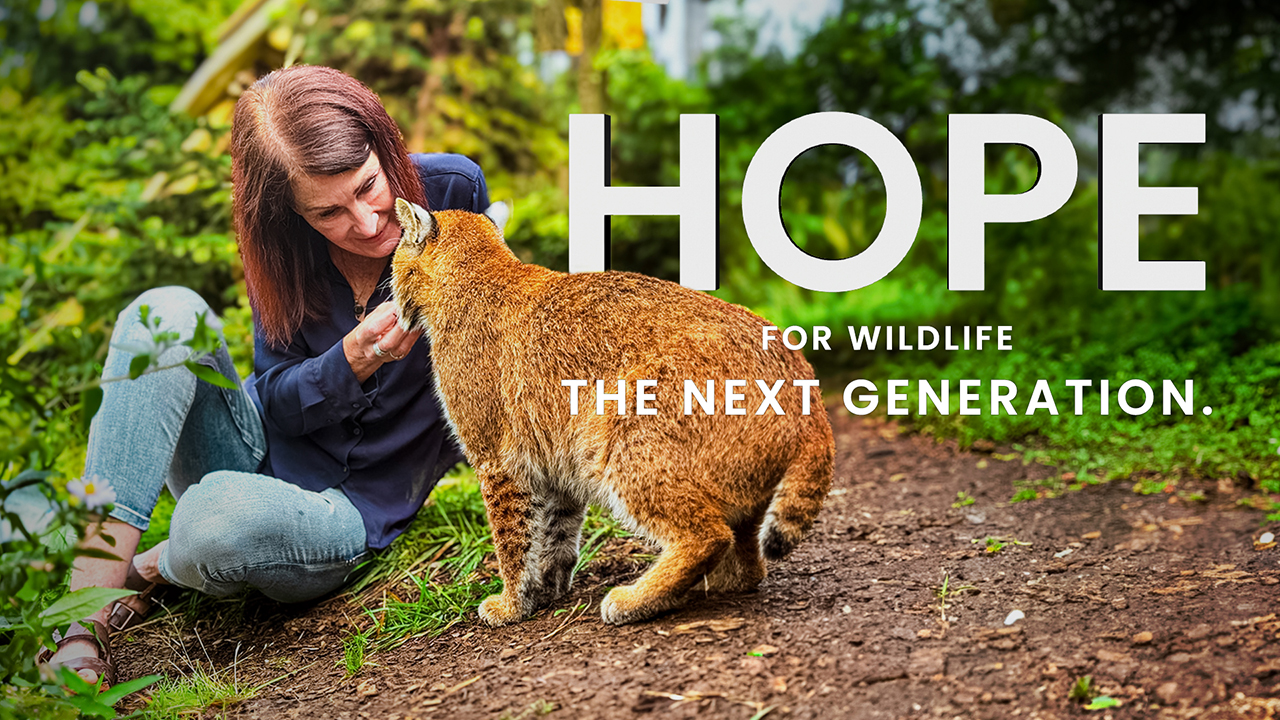 Hope For Wildlife: The Next Generation | Blue Ant Studios | Screenings ...
