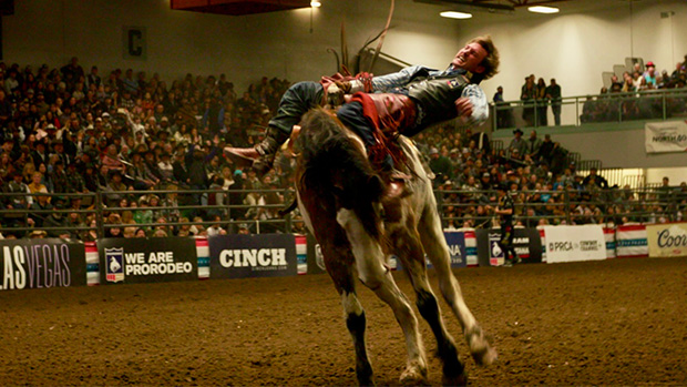 Germany’s Quintus Studios says docuseries Danger Pay ain’t its first ...