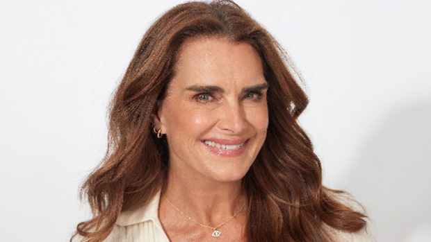 AMC Networks' Acorn TV greenlights Brooke Shields crime drama Allie ...