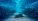 Wave of Blue Planet III sales and copro deals done on first day of BBC ...