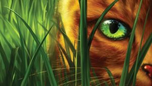 Warrior Cats book series coming to TV as animated series from Tencent ...